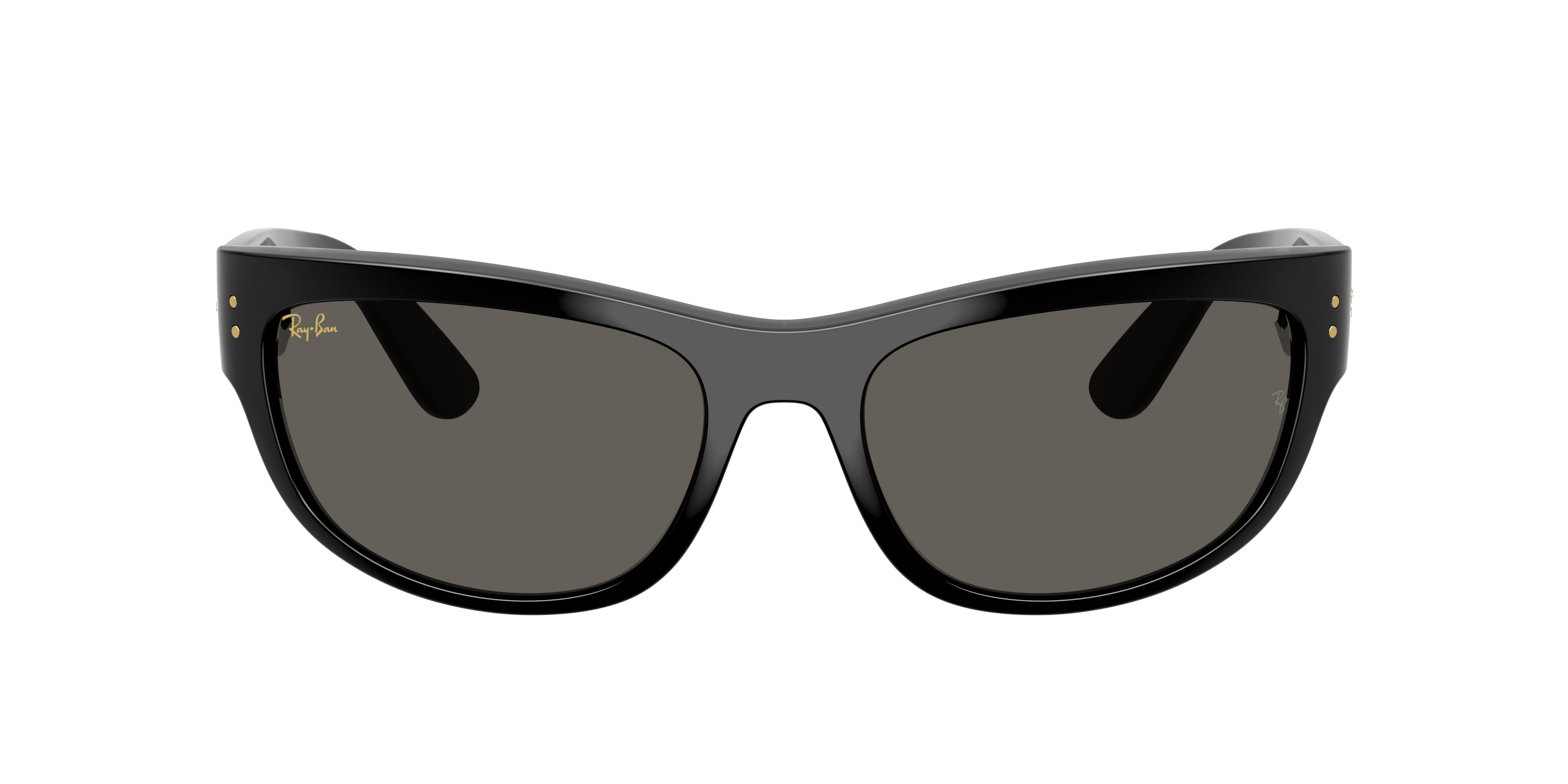 Ray-Ban Ray-Ban Sunglasses in Black | Target Optical
